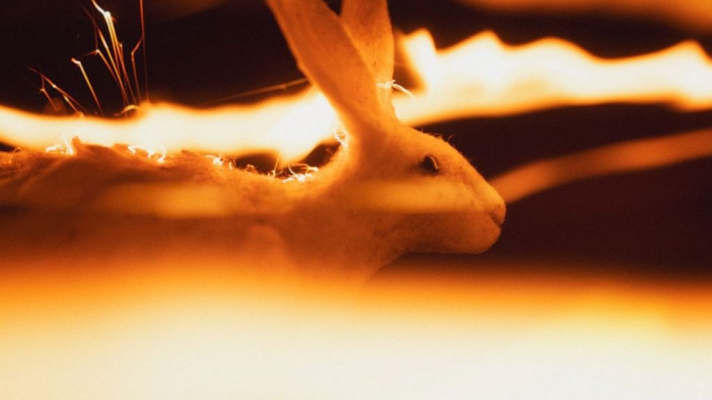 A Flammable Planet: WWF recurre a la animación para concienciar sobre ...